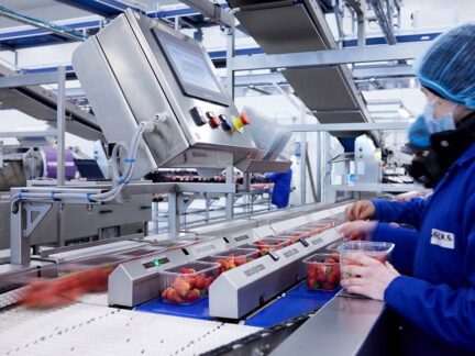 Conveyor Systems & Material Handling Solutions - Arco Weighmaster HC ...