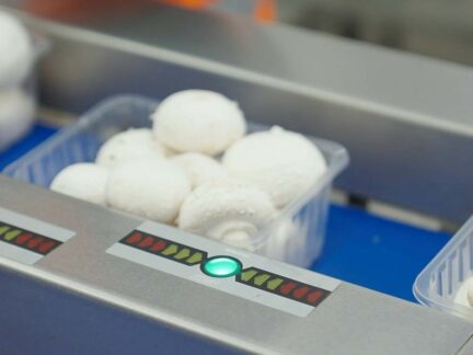 Conveyor Systems & Material Handling Solutions - Arco Weighmaster HC ...