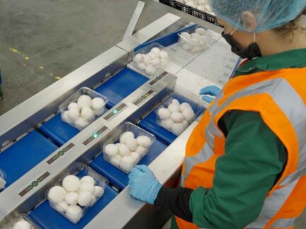 Conveyor Systems & Material Handling Solutions - Conveyor Design ...