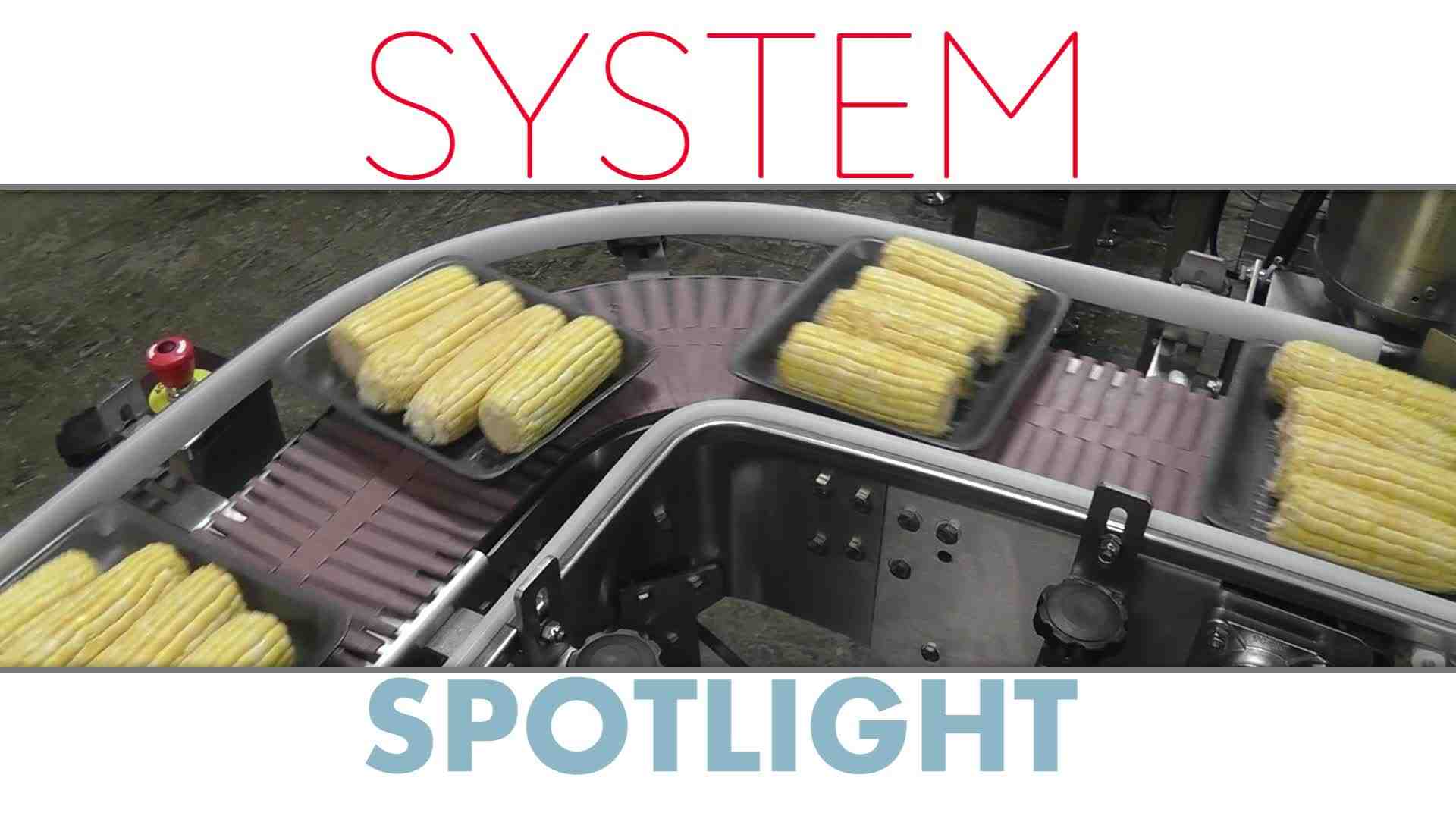 Diverting, Dividing Conveying Process Machinery Videos | Shuttleworth